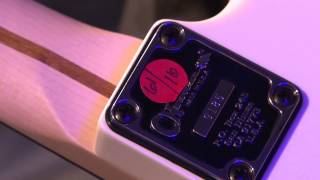 Charvel Jake E. Lee Signature Model - What To Know & Where To Buy ...