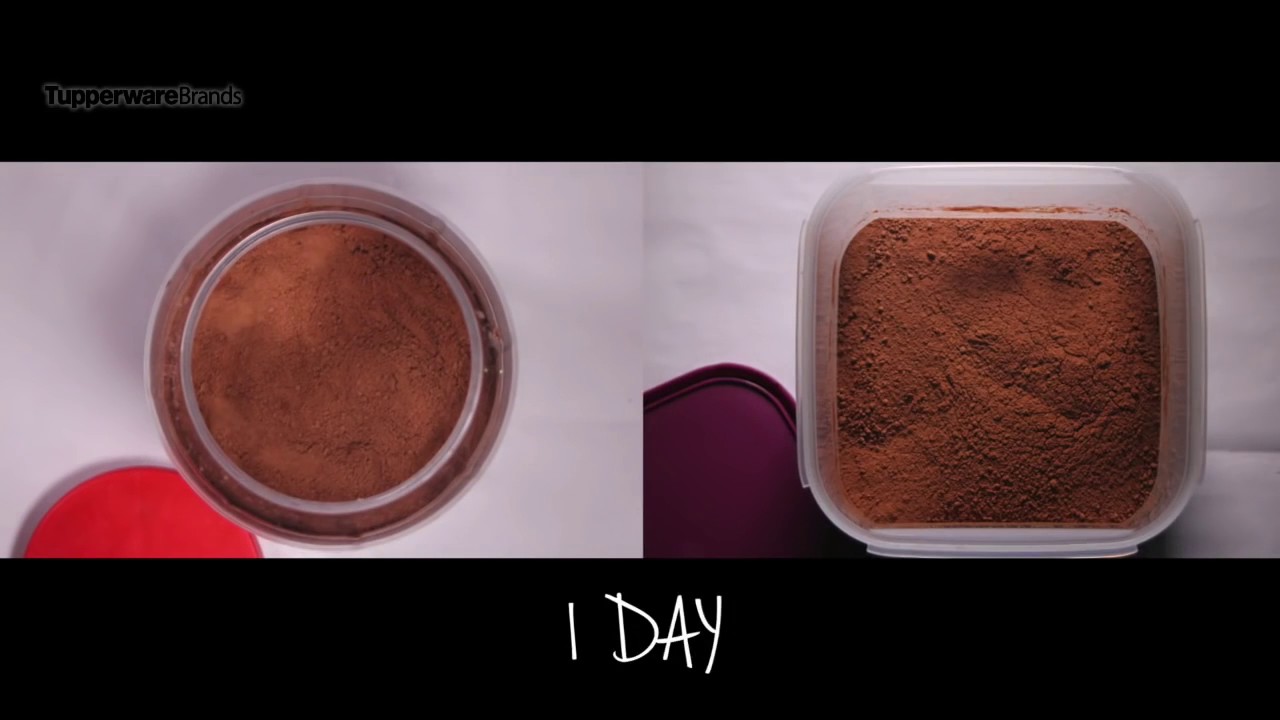Tupperware Modular Mates vs Normal Container