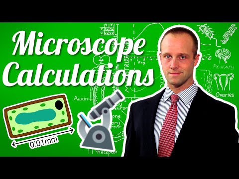 Microscope Magnification - GCSE IGCSE 9-1 Biology - Science - Succeed In Your GCSE and IGCSE