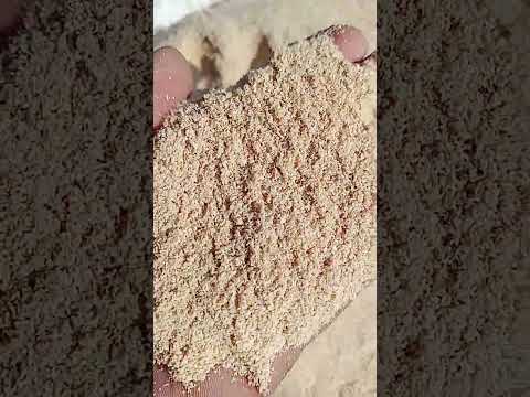 Choker /Wheat bran