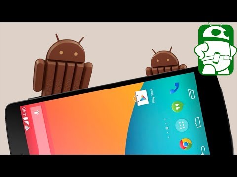 Google Launcher - Everything you need to know!