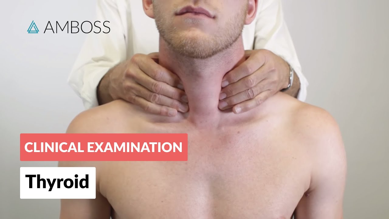 Examination of the Thyroid - Clinical Examination