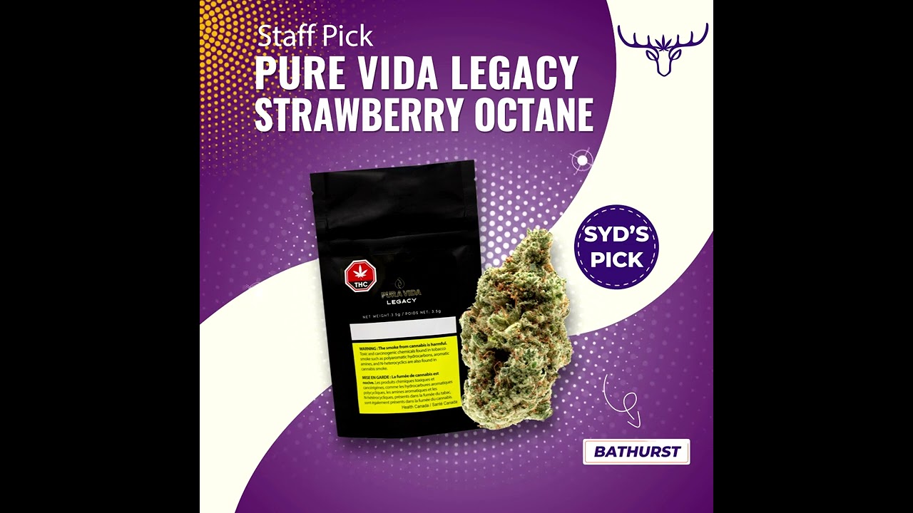 Bathurst Location Staff Pick: Pure Vida Legacy, Strawberry Octane