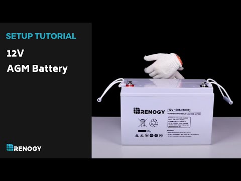 Renogy 12V AGM Battery