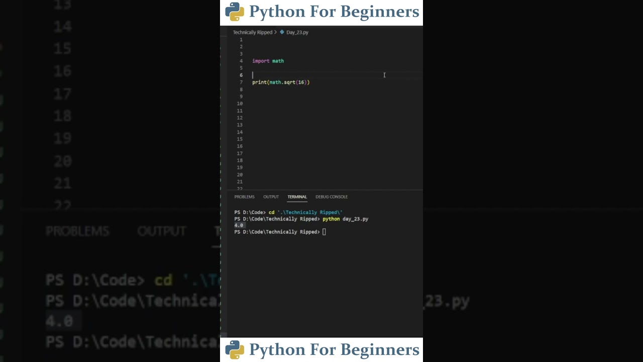 How To Import & Use A Python Library / Module | Python For Beginners