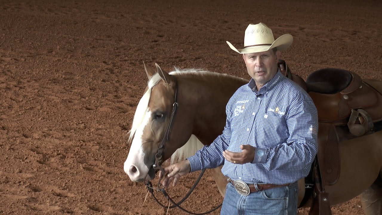 Todd Sommers - Fitting a Bridle Correctly