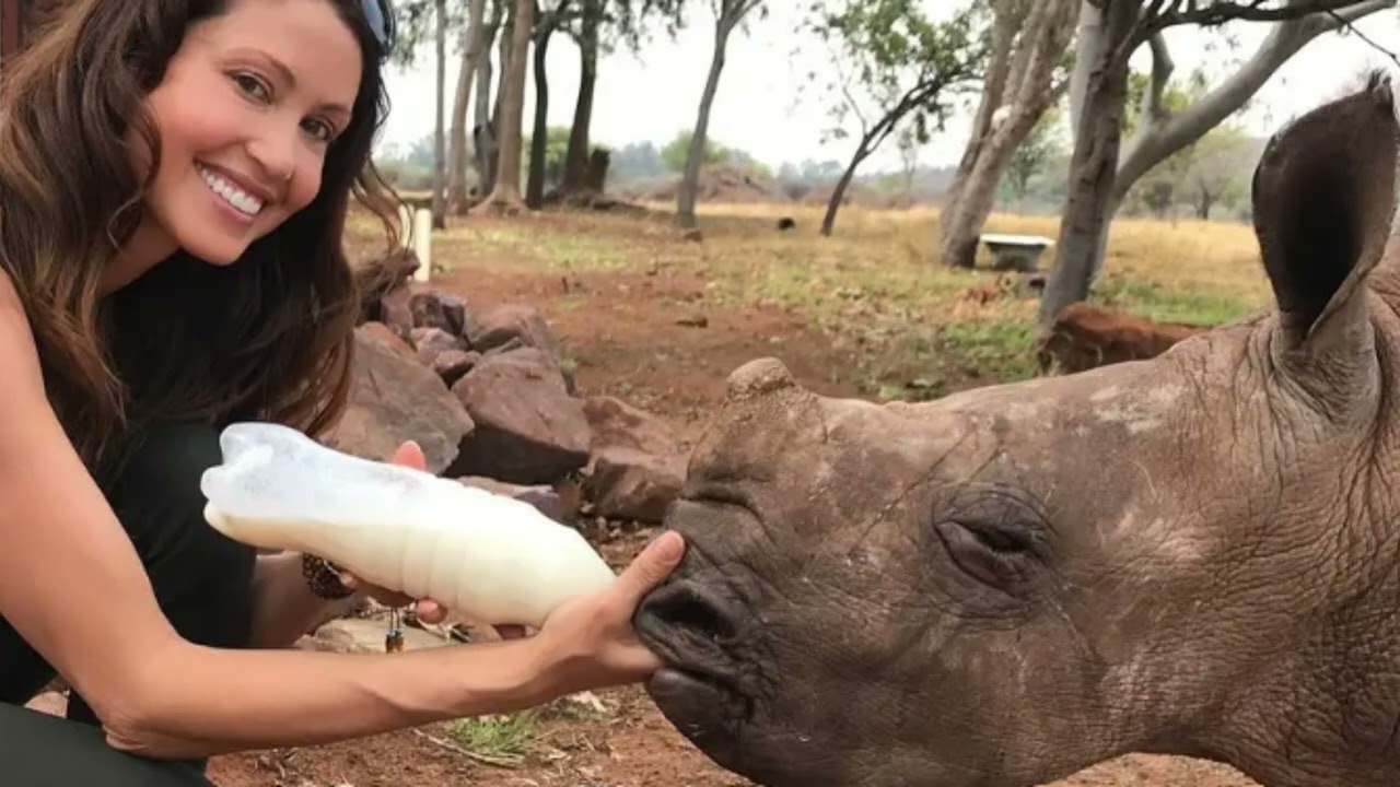 Shannon Elizabeth OnlyFans Earnings Shocking New Career Move After Divorce Is Breaking The Internet