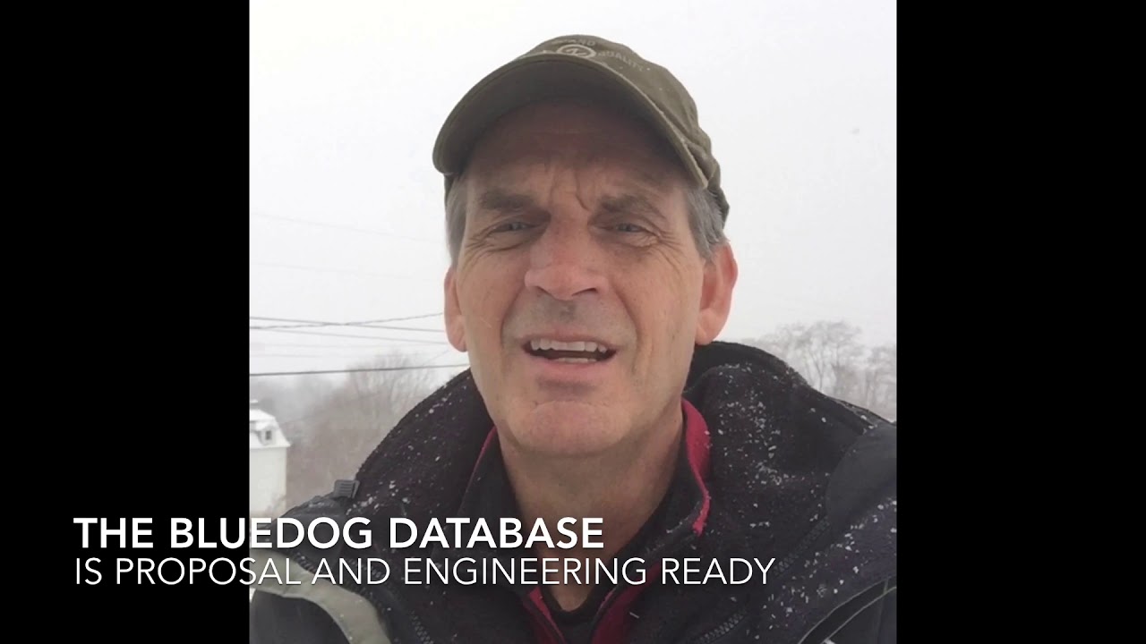 BlueDog What Makes it Different