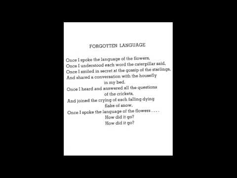 Shel Silverstein Series Part 5 - Forgotten Language