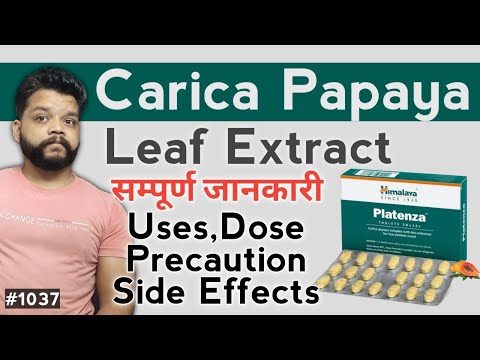 Papaya Leaf Extract - Carica Papaya Leaf Extract Latest Price ...