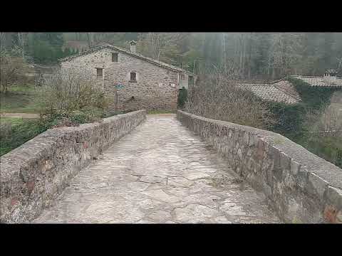 [CÀMERA AL BOSC] El pont de Malafogassa – LA RESISTÈNCIA