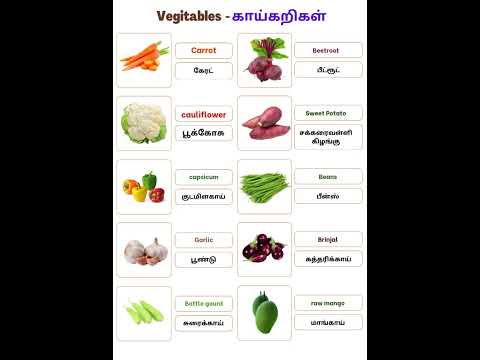 Carrot, Beetroot, Garlic & More | Vegetable Names in English with Tamil Meaningš«š„°