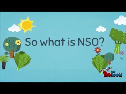 What is NSO?
