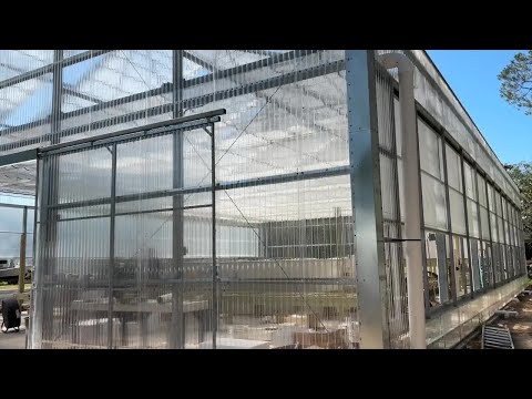 New Greenhouse at Gulf Specimen Lab Shows How Algae Can Help Clean Water
