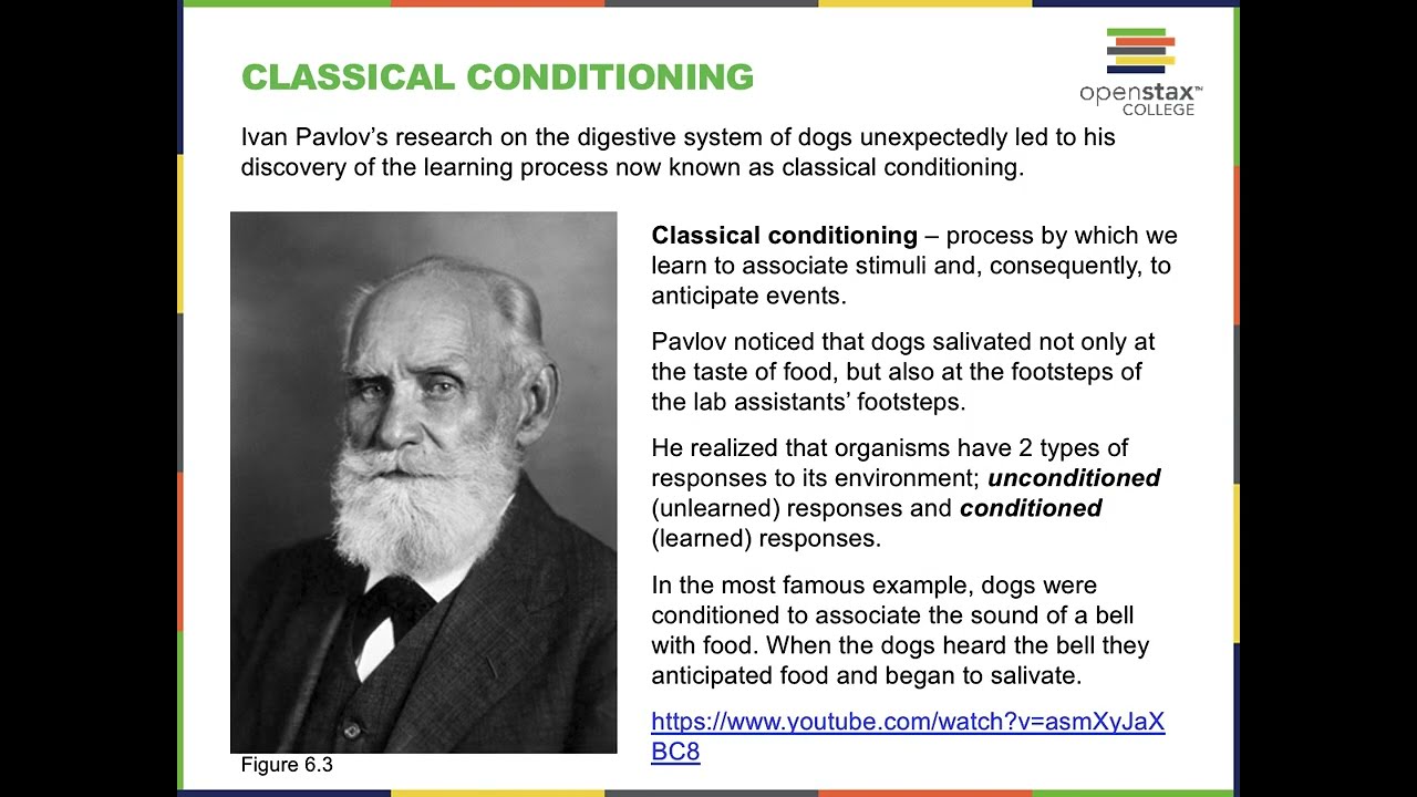 OpenStax Psychology Chapter 6: Learning