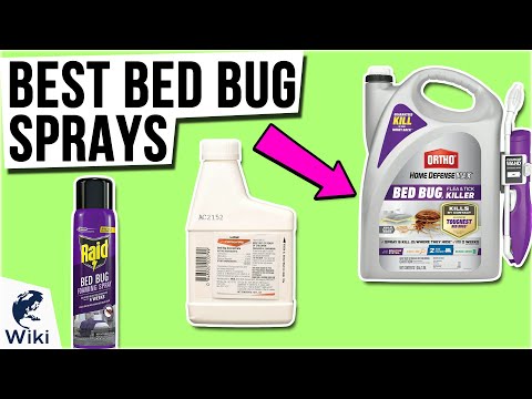 10 Best Bed Bug Sprays 2020