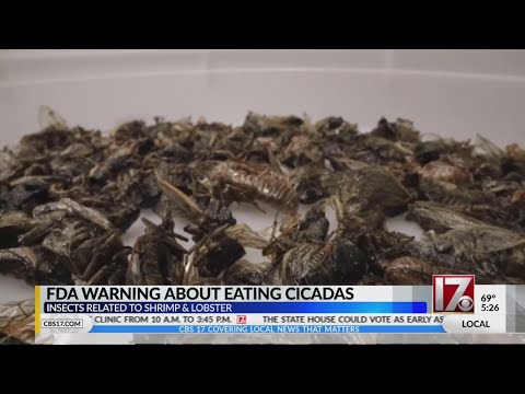 FDA warning about eating cicadas