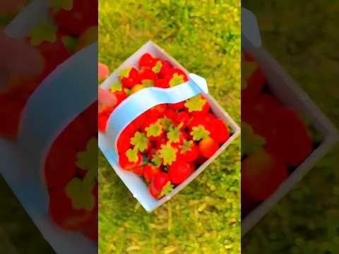 Strawberry form visit The Journey of a Strawberry#strawberry #health#fruit #pickstrawberriesday