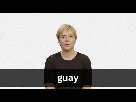 English Translation of “GUAY” | Collins Spanish-English Dictionary
