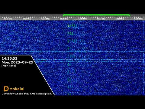 The Buzzer [4625 kHz] | Live 🔴