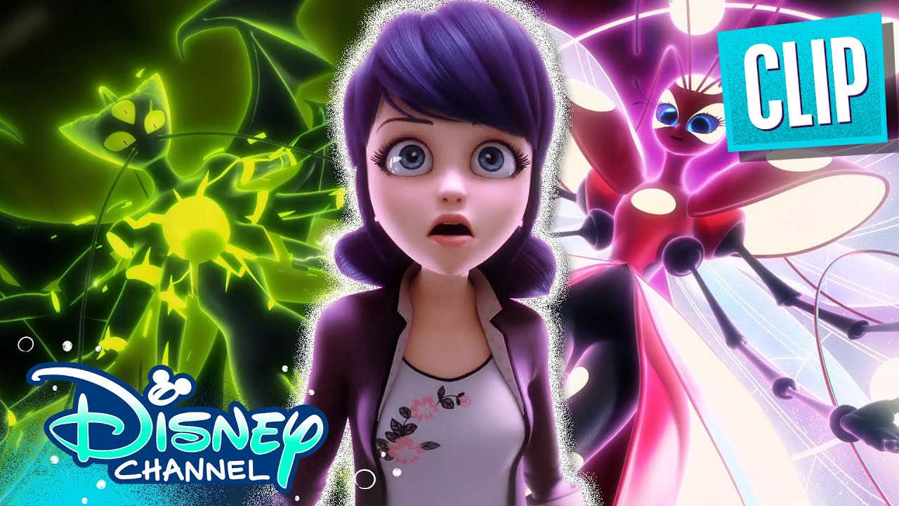 Monarch Makes His Wish 💫 | Season 5 Finale | Miraculous Ladybug | @disneychannelanimation