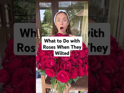 I Didn’t Know What to Do with Roses When They Wilted