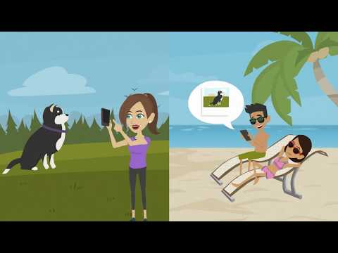 Modern Dog Walking and Pet Sitting Software | Scout