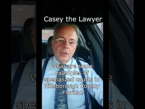 What are some examples of specialized courts in Hillsborough County Florida?