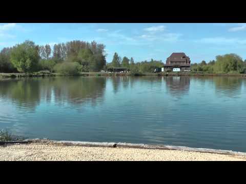 The Carp Specialist - De Karperhoeve Timmy's Lake - Swim 8