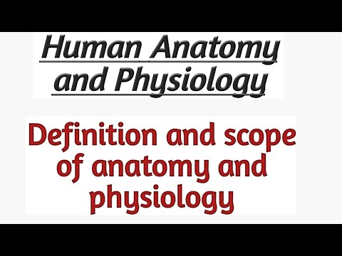 Human anatomy and physiology - definition and scope in english @knowledgepharma.