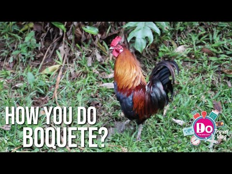 How do you Boquete? DoPanama Travel Vlog - Episode 10