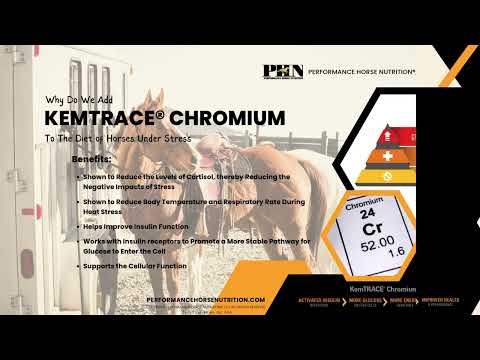 PHN® KemTRACE® Chromium Horses Under Stress 2024