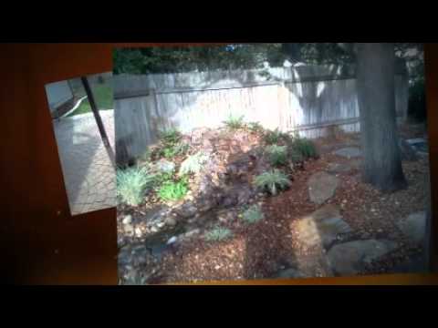 Web site Video.mp4