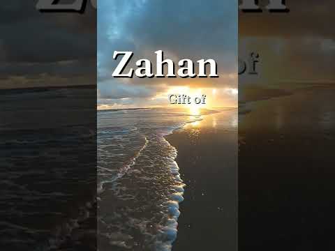 cool muslim baby boy names that start with Z