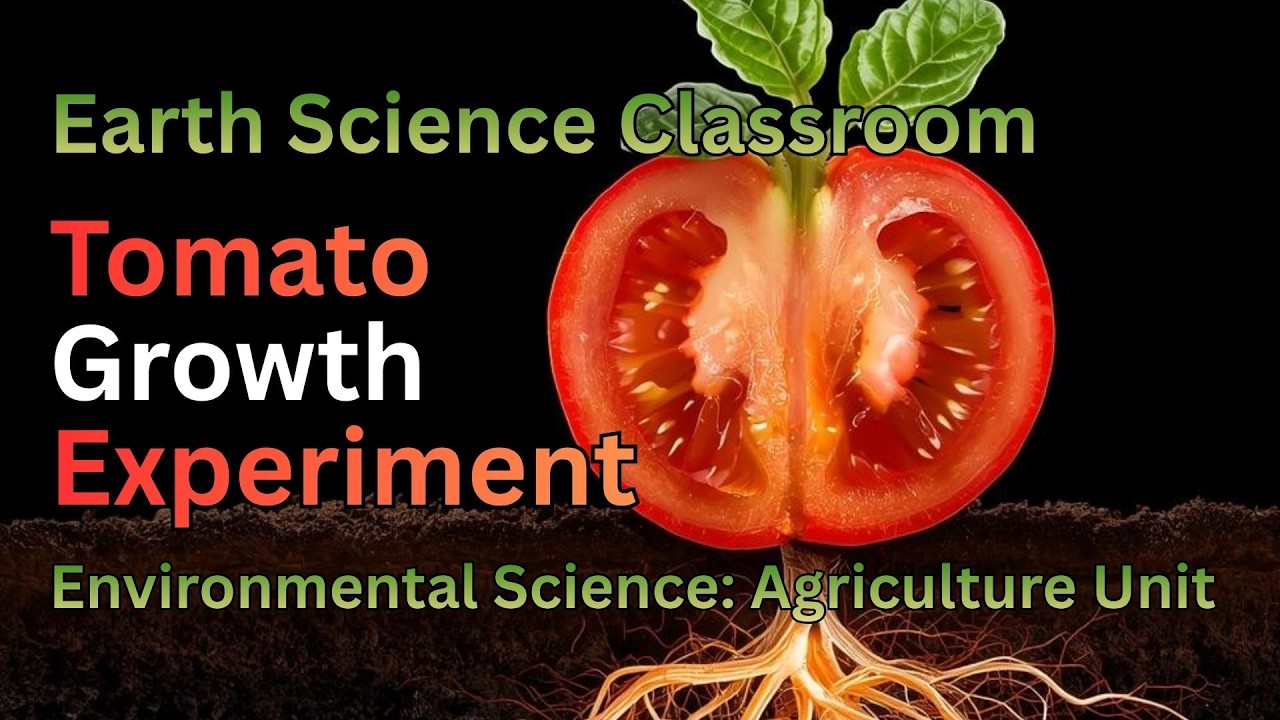 Tomato Growth Lab Experiment #science