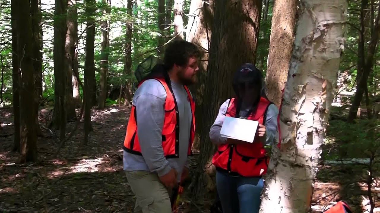 Harris Center-Keene State College Conservation Internship Program