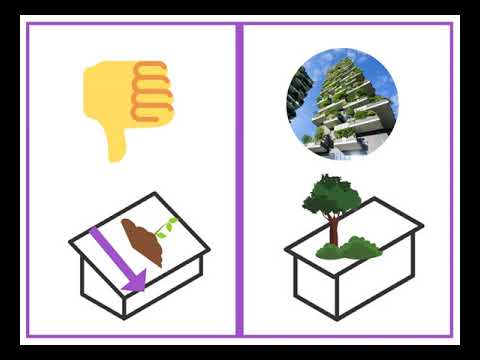 5 ESS3 1 Video