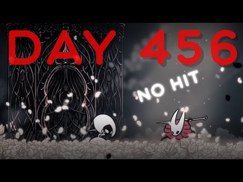Daily Lace Until Hollow Knight: Silksong Releases [Day 456]