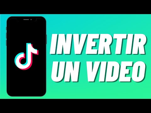 Cómo Invertir un Video en TikTok