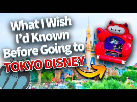 What I Wish Iβd Known Before Going to Tokyo Disney