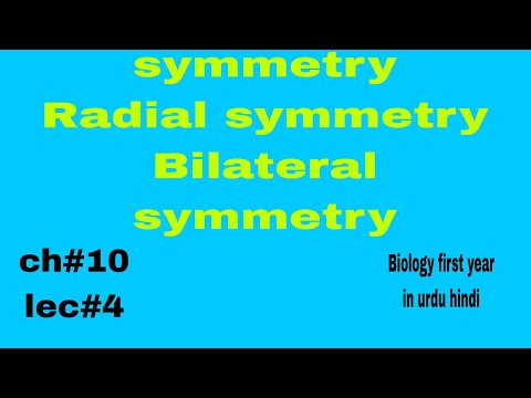 symmetry,type of symmetry,radial and bilateral symmetry in urdu hindi biology ist year