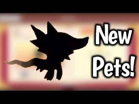 Prodigy Math Game | New Pets in the Pet Book! (Summerfest!)
