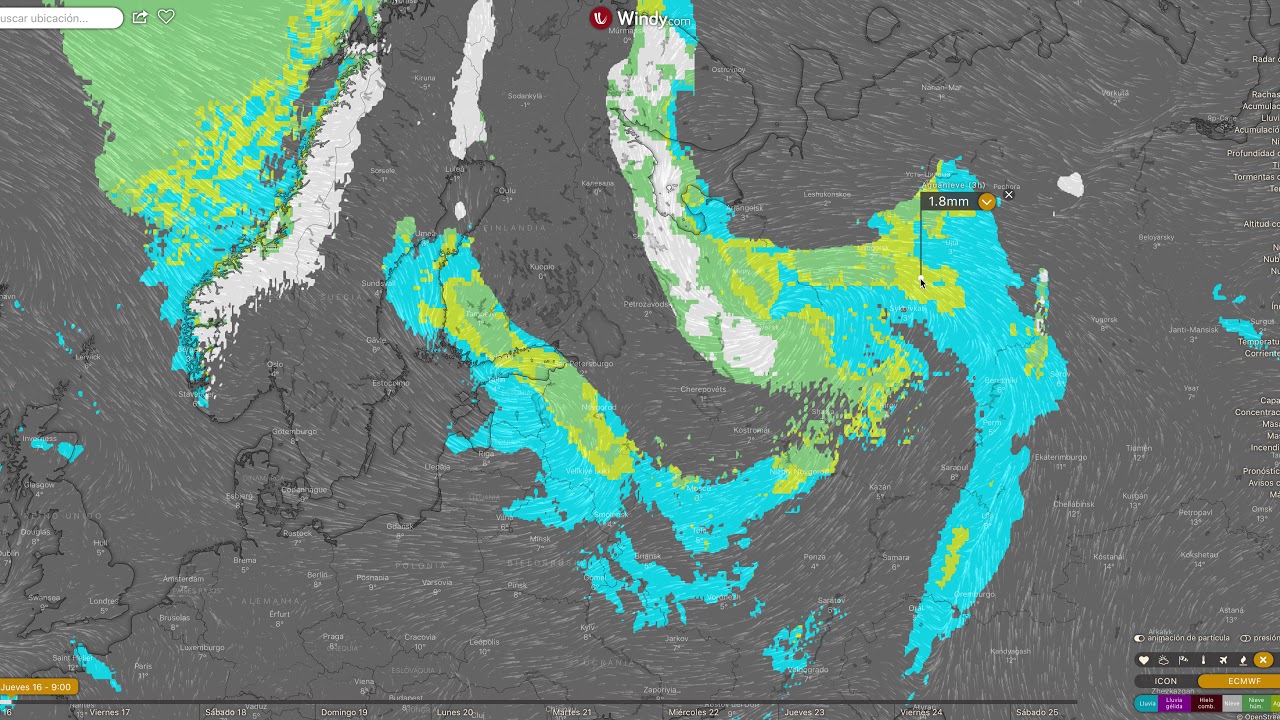 Tipos de precipitación en Meteorología