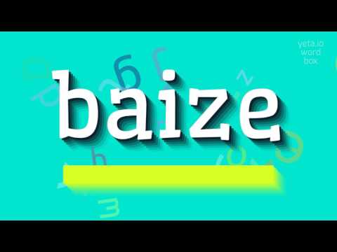 How to say "baize"! (High Quality Voices)