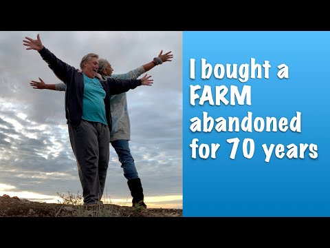 What I have done on an abandoned farm in Central Portugal in 5 years?