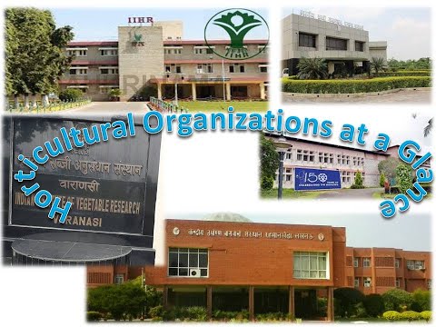 Horticultural Organizations in India