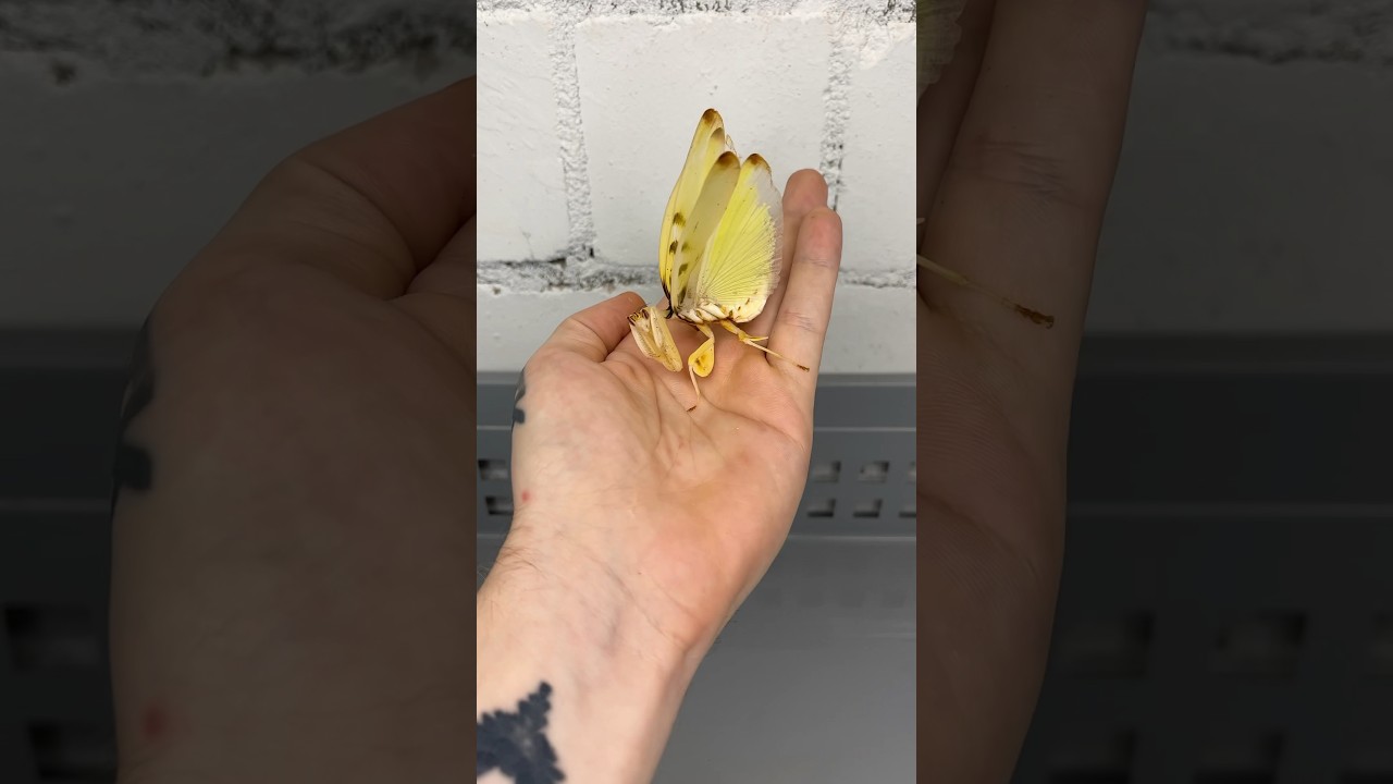 Everything in this world starts with an egg. Part 1