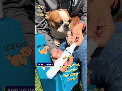 Pet Grooming Tips with #clippers & #toenailTrim for #dog and #cat Lovers! #pets