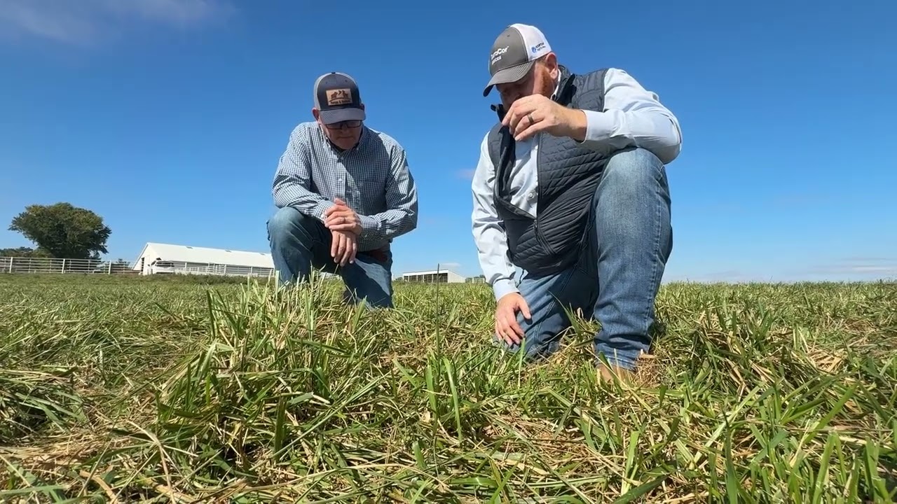 Where the Green Grass Grows | Summer 2026 | Focus on Pasture Management