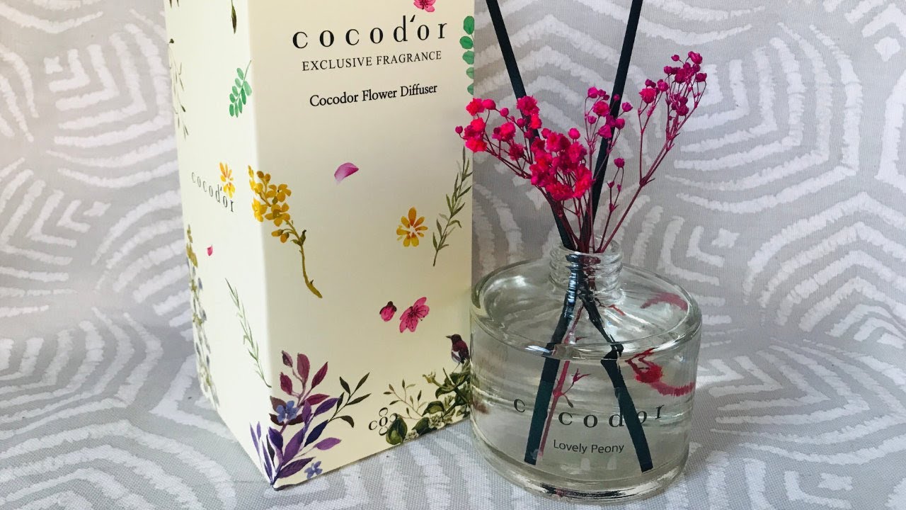 Cocodor Preserved Real Flower Reed Diffuser